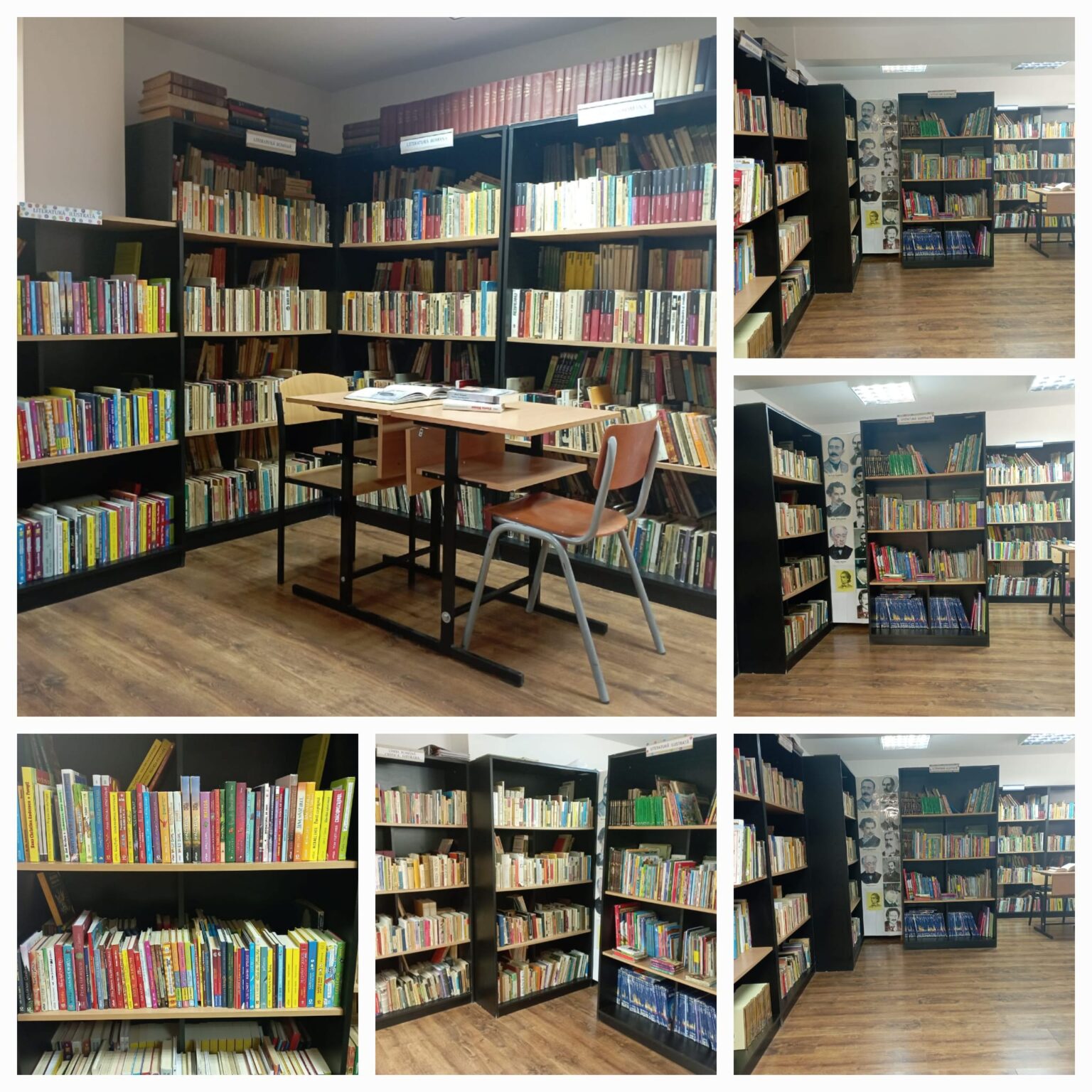 Școala Gimnazială Nr. 206 – O șansă fiecărui copil, de a reuși în viață!